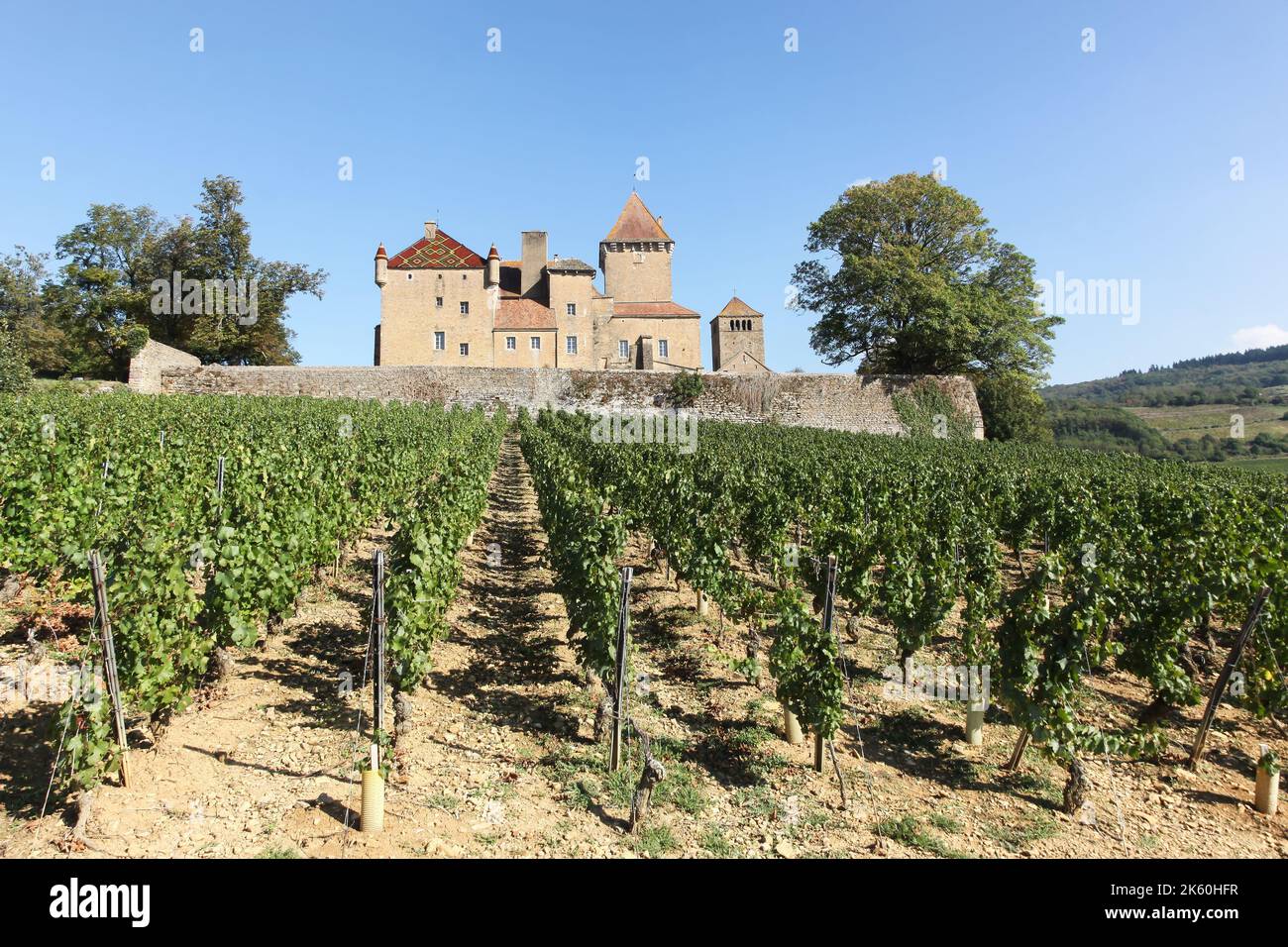 Burgundy wine and castle hi-res stock photography and images - Alamy
