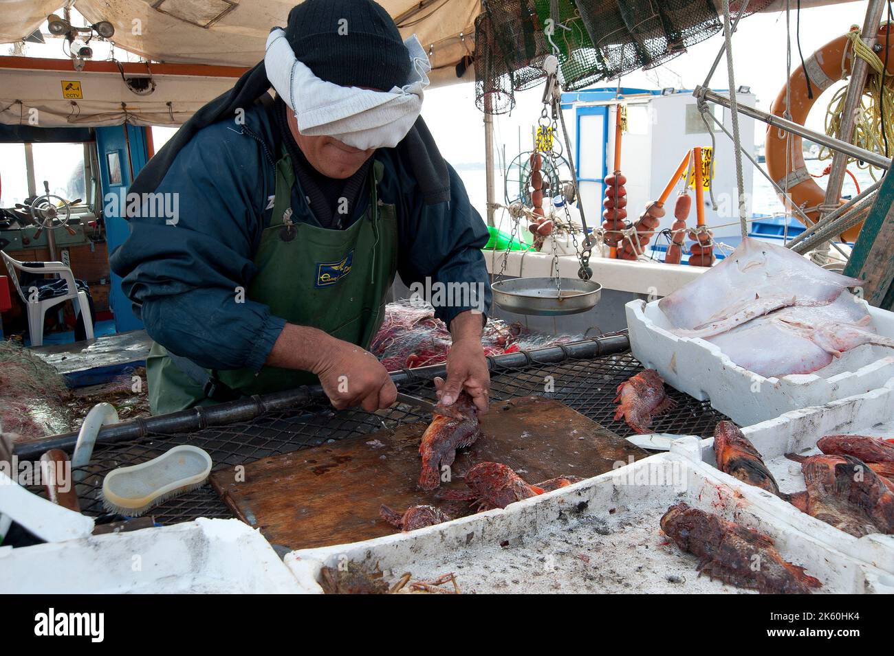 Boats of fishing tourism on the waterfront. A fisherman scale ...
