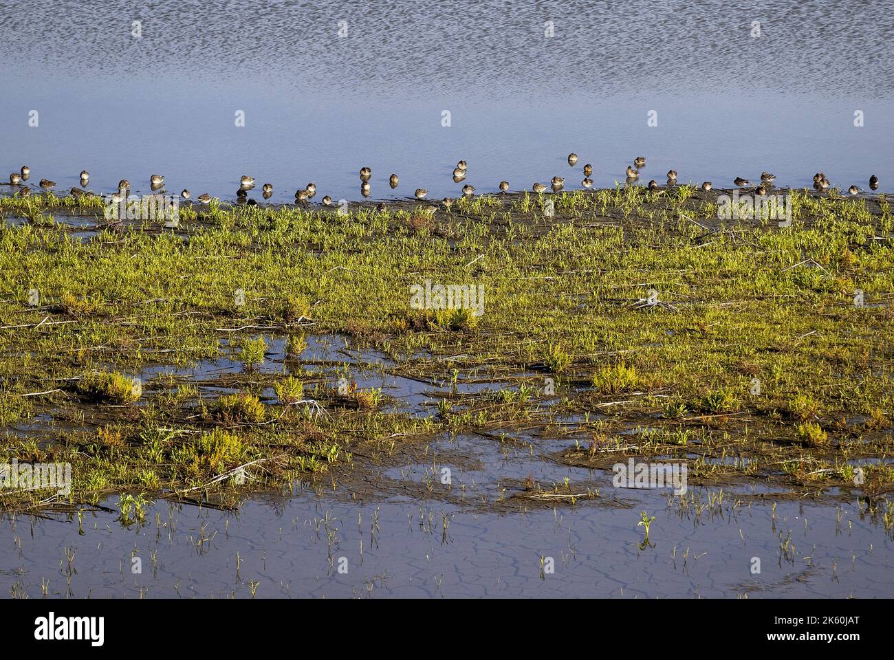 2022-10-11 10:49:57 MARKERMEER - The Marker Wadden during a press ...