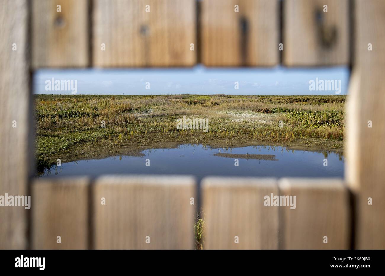 2022-10-11 11:11:38 MARKERMEER - The Marker Wadden during a press ...