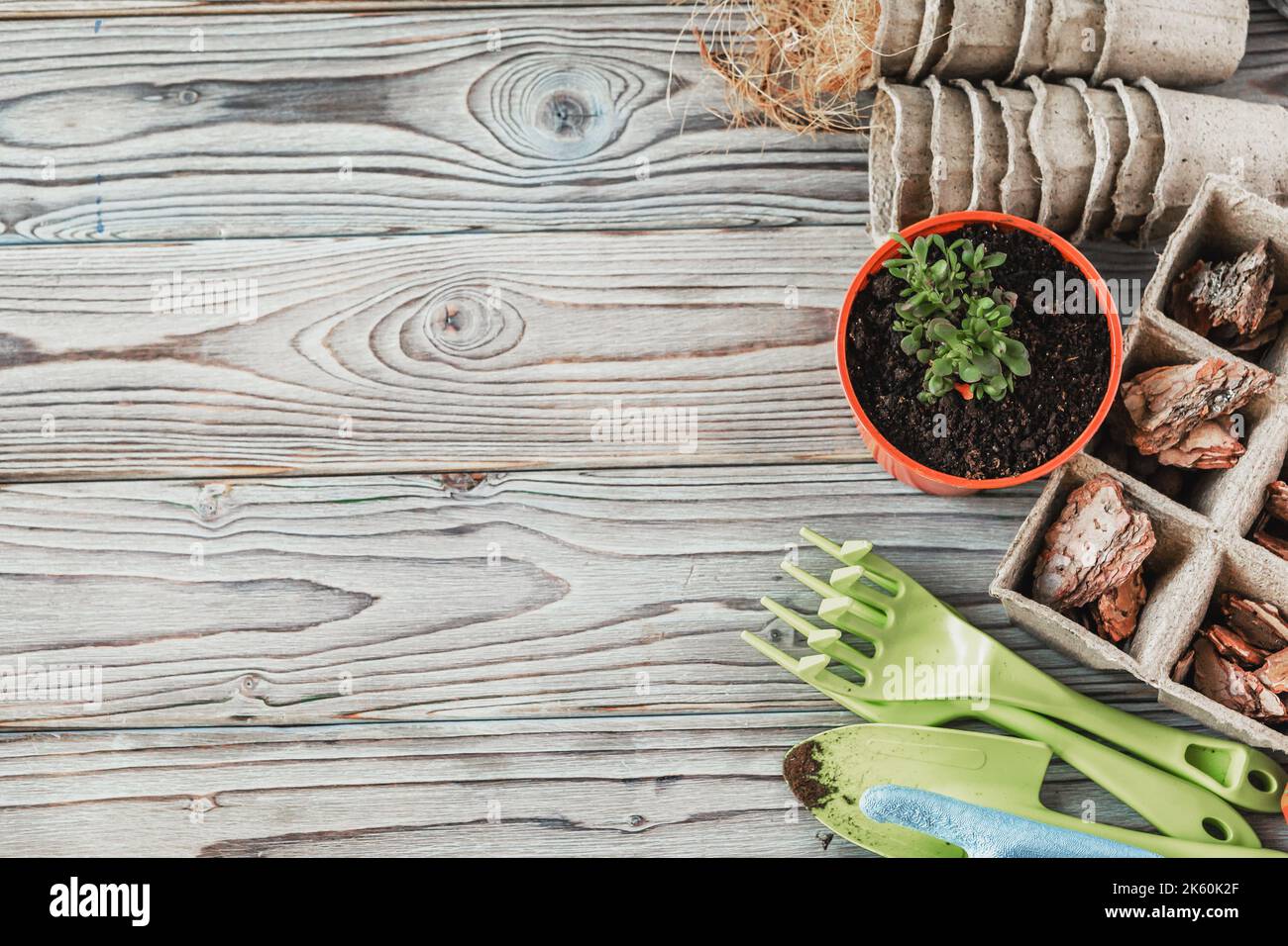 Preparing for spring to transplant plants. Pot, shovel, succulents ...