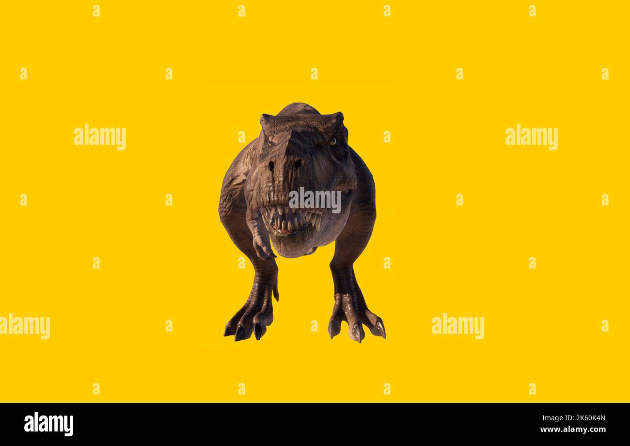 An angry Tyrannosaurus rex dinosaur isolated on a bright yellow ...