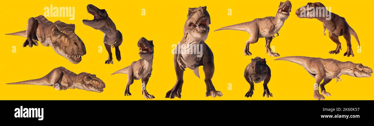 A group of Tyrannosaurus rex dinosaurs isolated on a bright yellow ...