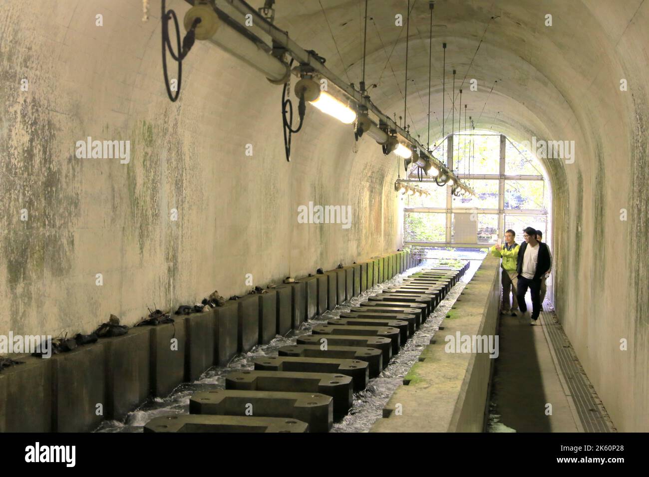 Shiromaru Dam Fishway Okutama Tokyo Japan Stock Photo - Alamy
