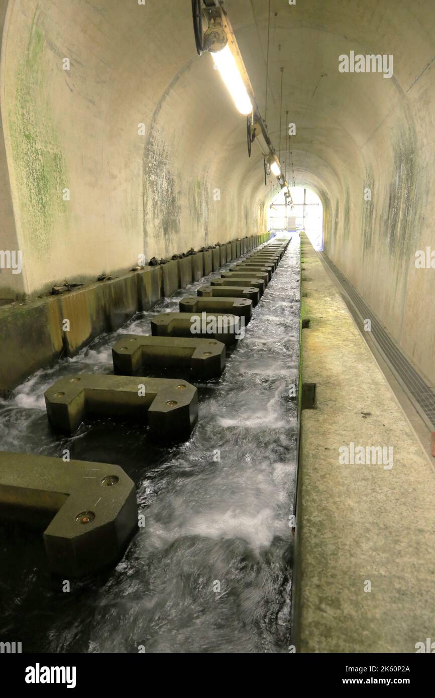 Shiromaru Dam Fishway Okutama Tokyo Japan Stock Photo - Alamy