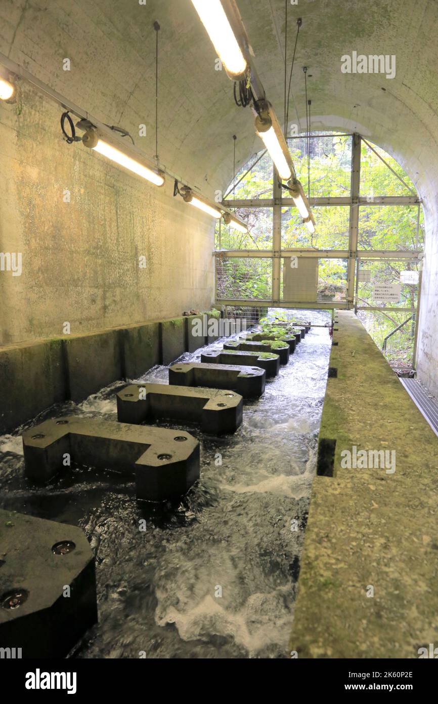 Shiromaru Dam Fishway Okutama Tokyo Japan Stock Photo - Alamy