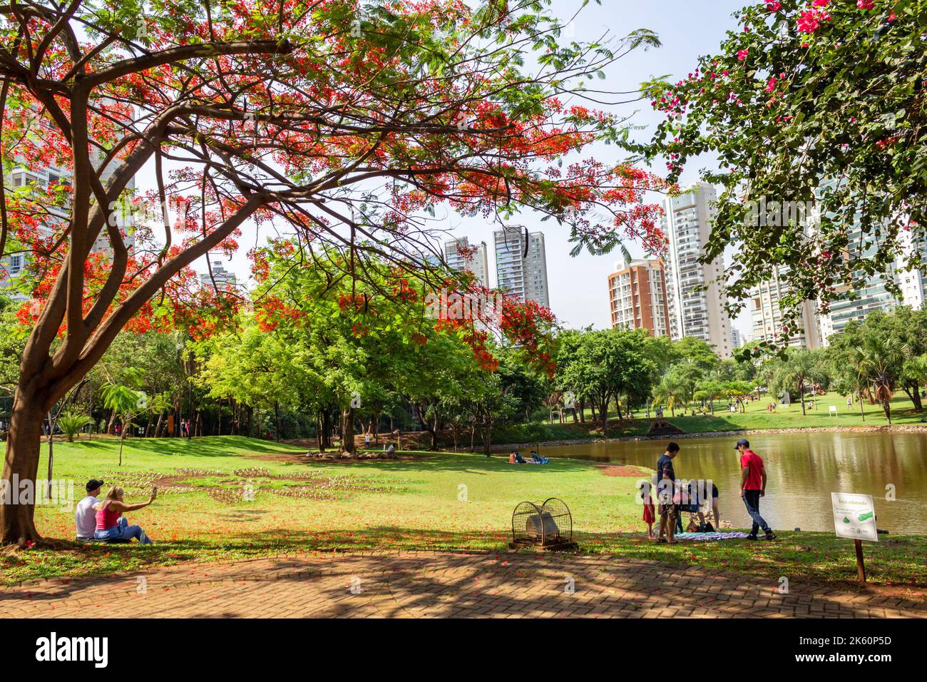 Goiânia, Goias, Brazil – October 09, 2022: Flamboyant Park in the city ...