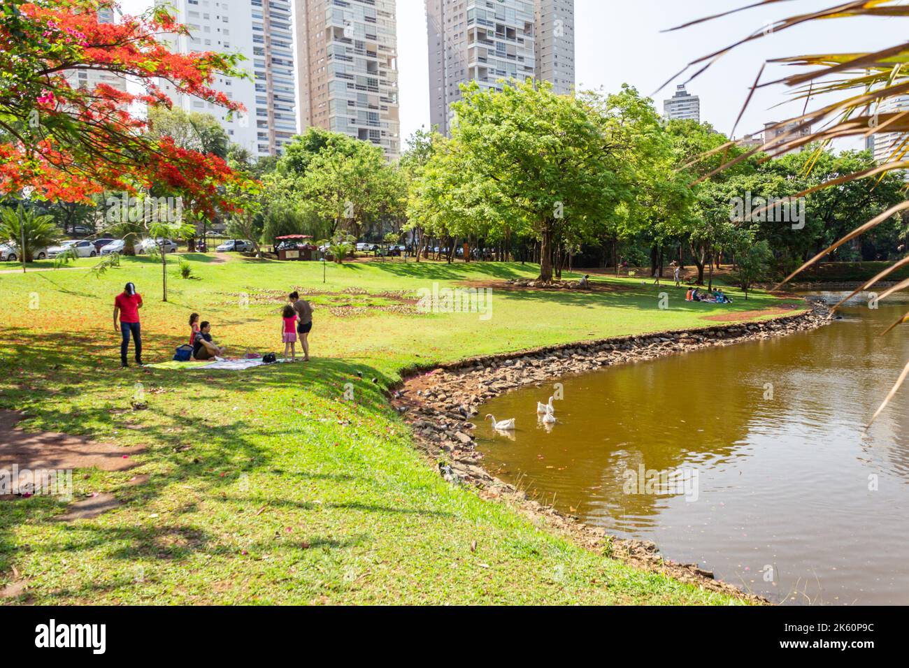 Goiânia, Goias, Brazil – October 09, 2022: Flamboyant Park in the city ...
