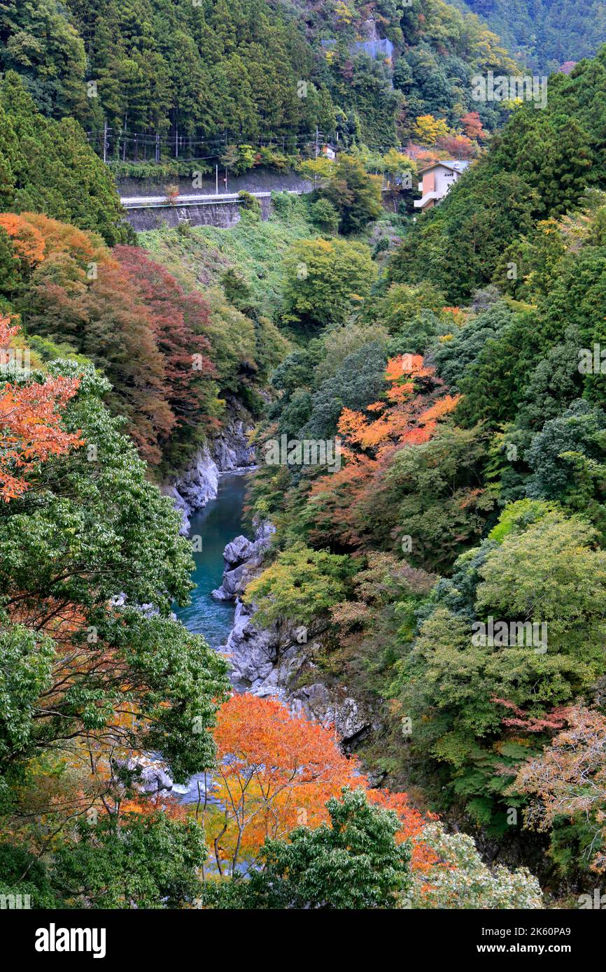 Okutama mountains hi-res stock photography and images - Alamy