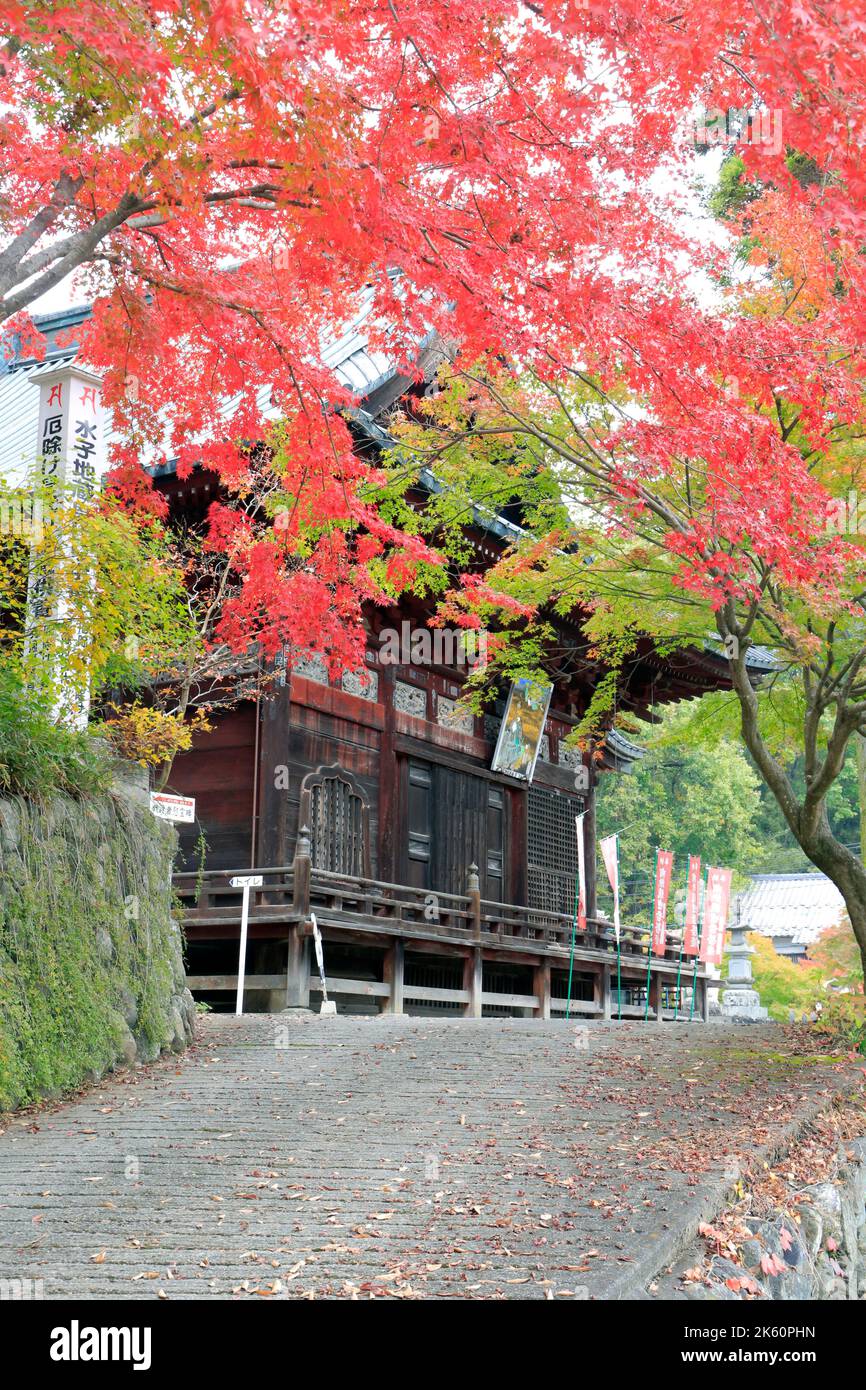 Shimabuji Temple Autumn scean in Chichibu city Saitama Japan Stock ...