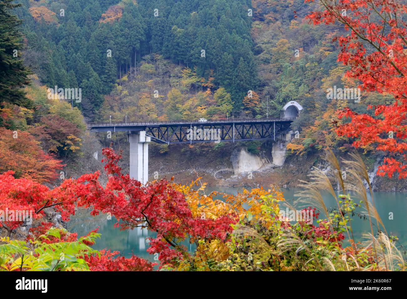 Oku-Chichibu Momiji-ko lake Saitama Japan Stock Photo - Alamy