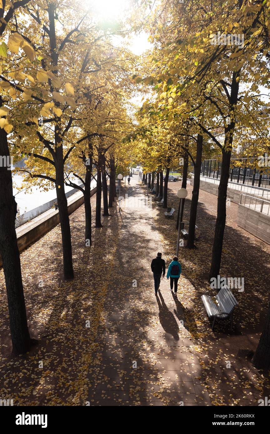 Dresden, Germany. 11th Oct, 2022. Passers-by walk along an avenue with ...
