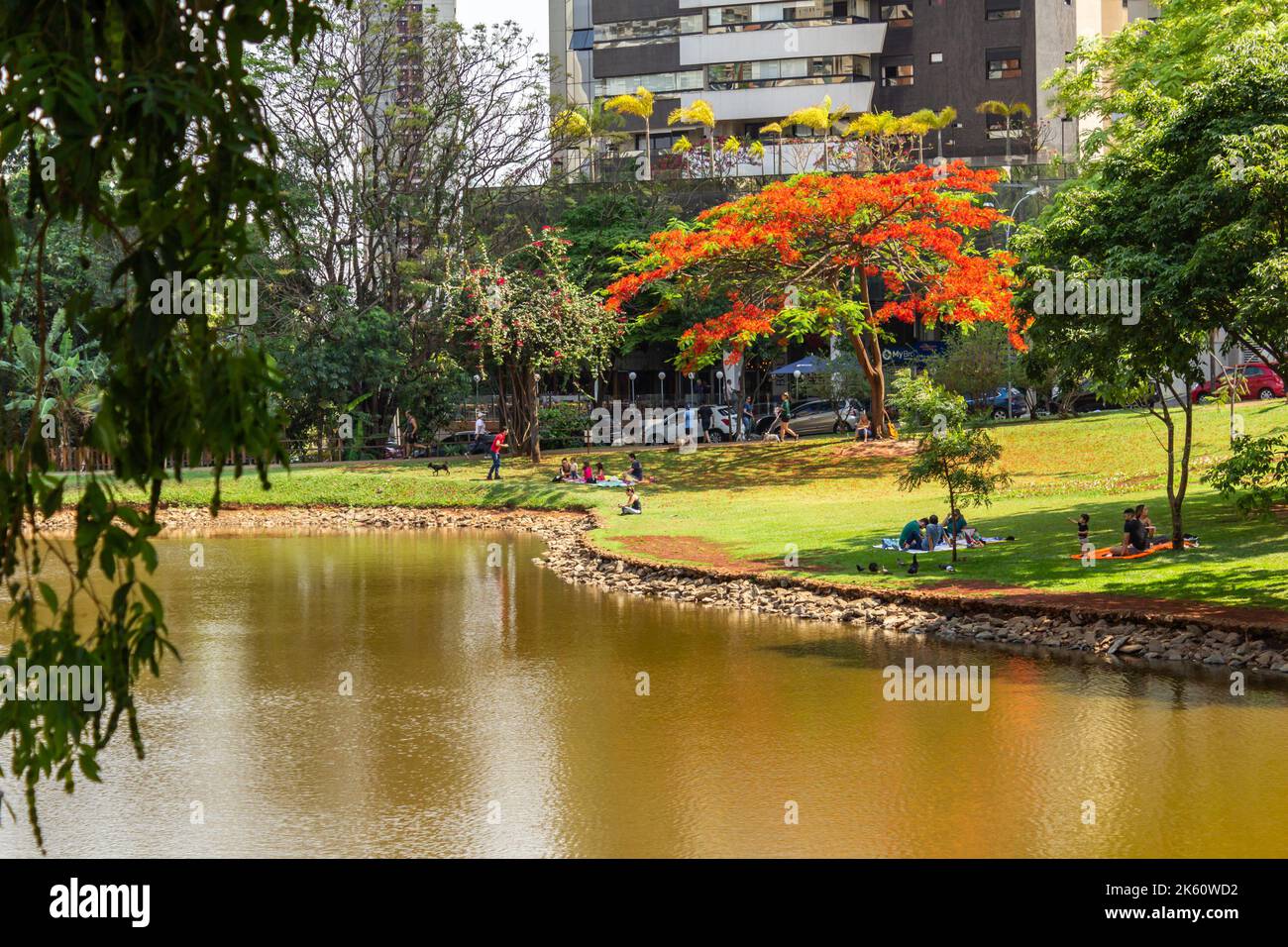 Goiânia, Goias, Brazil – October 09, 2022: Flamboyant Park in the city ...