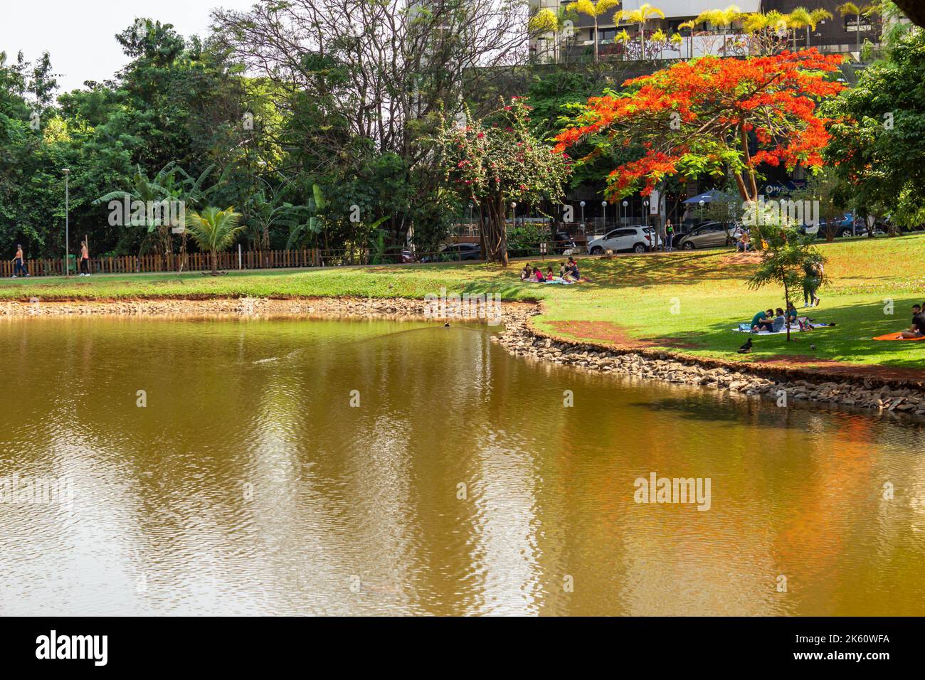 Goiânia, Goias, Brazil – October 09, 2022: Flamboyant Park in the city ...
