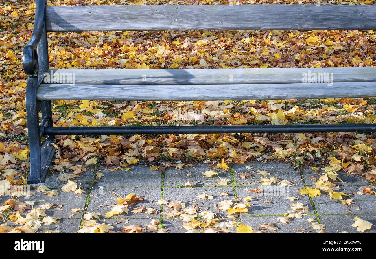 Leaf covered bench hi-res stock photography and images - Alamy