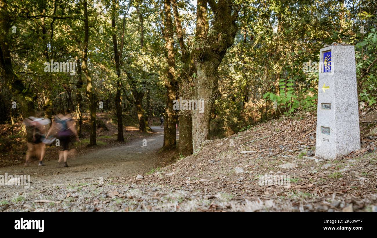 Pilgrims over Camino de Santiago hiking track Stock Photo - Alamy