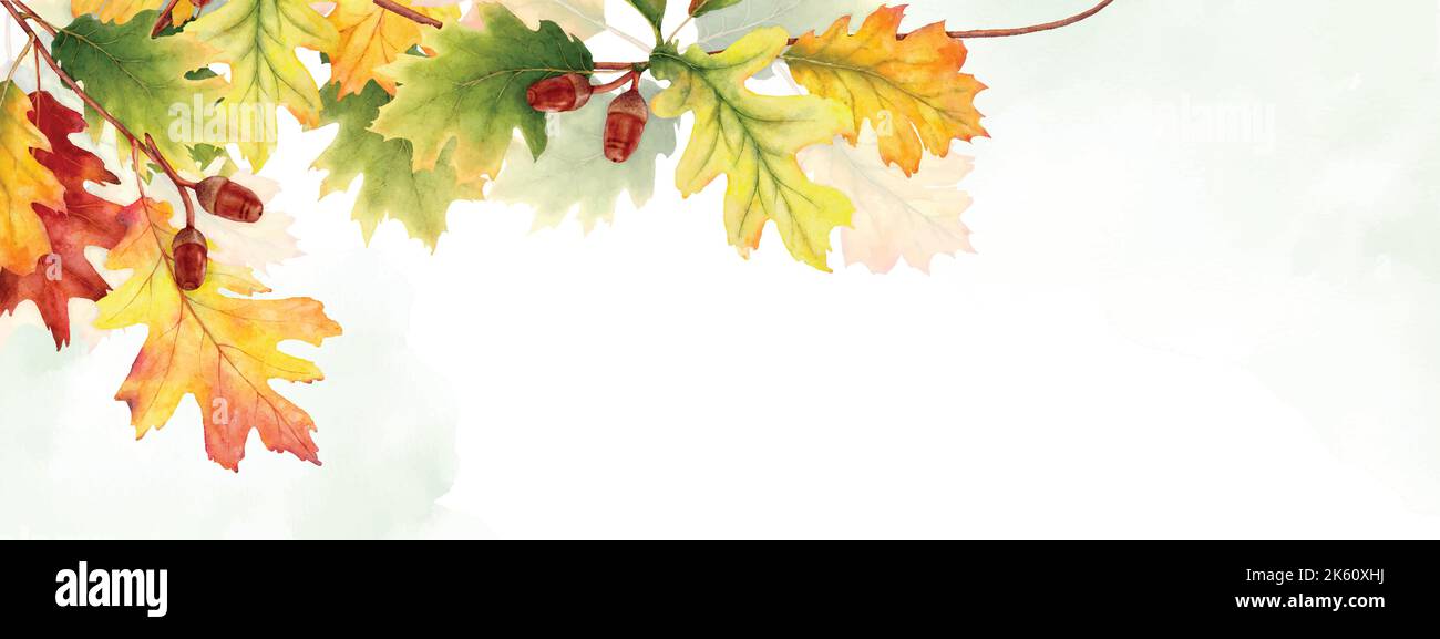 Watercolor abstract background autumn collection with seasonal leaves ...