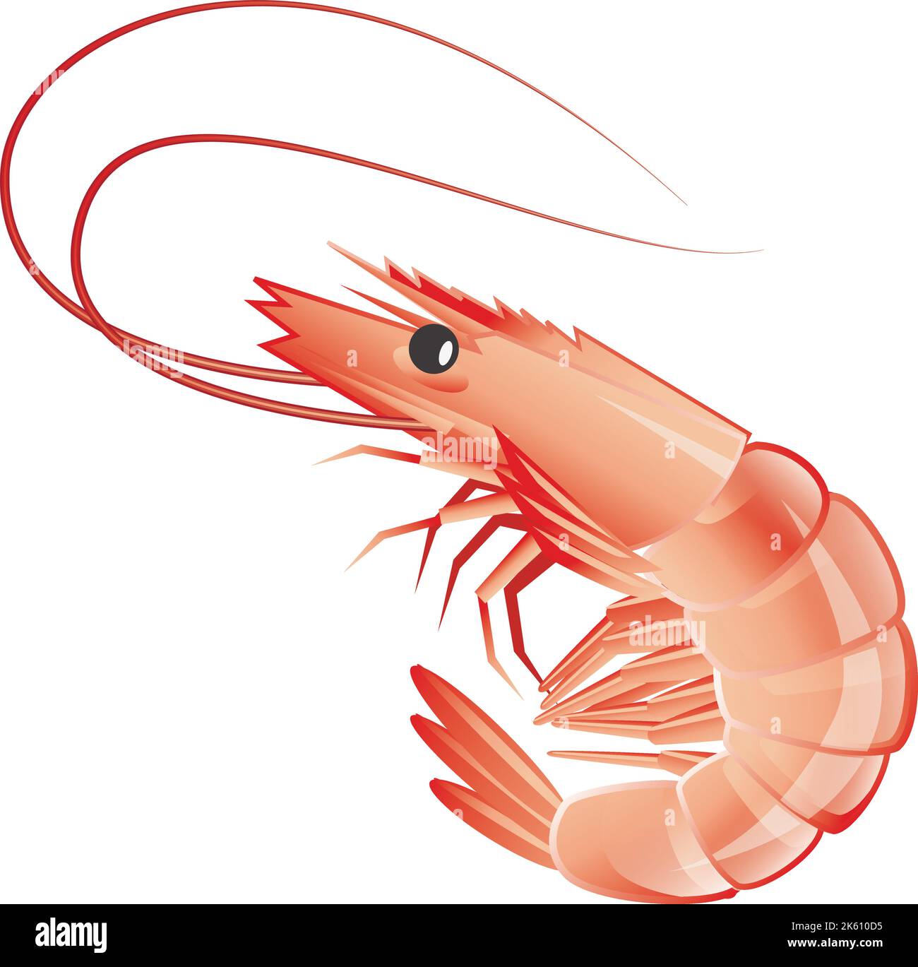 Icon of cooked shrimp in flat style, seafood. Isolated on white background Stock Vector Image ...