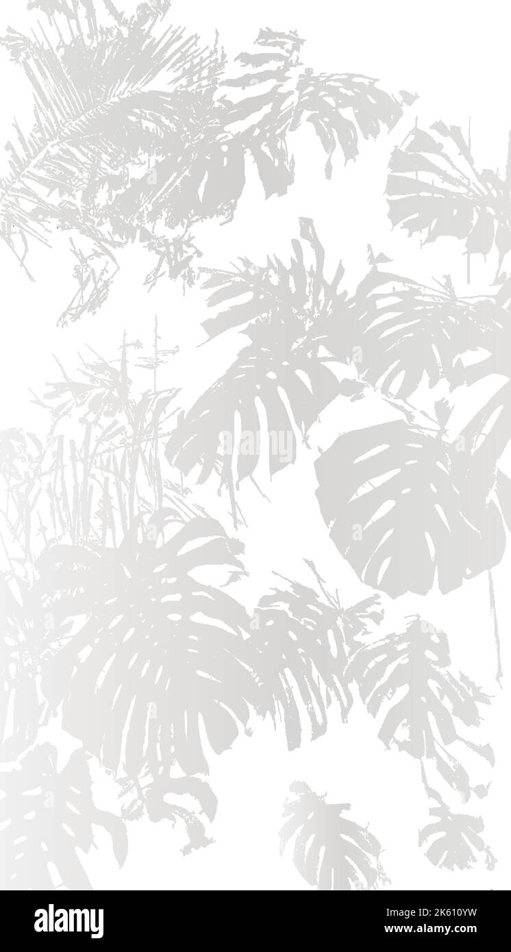 Overlay shadows. Transparent soft light, shadows, plant leaves and ...