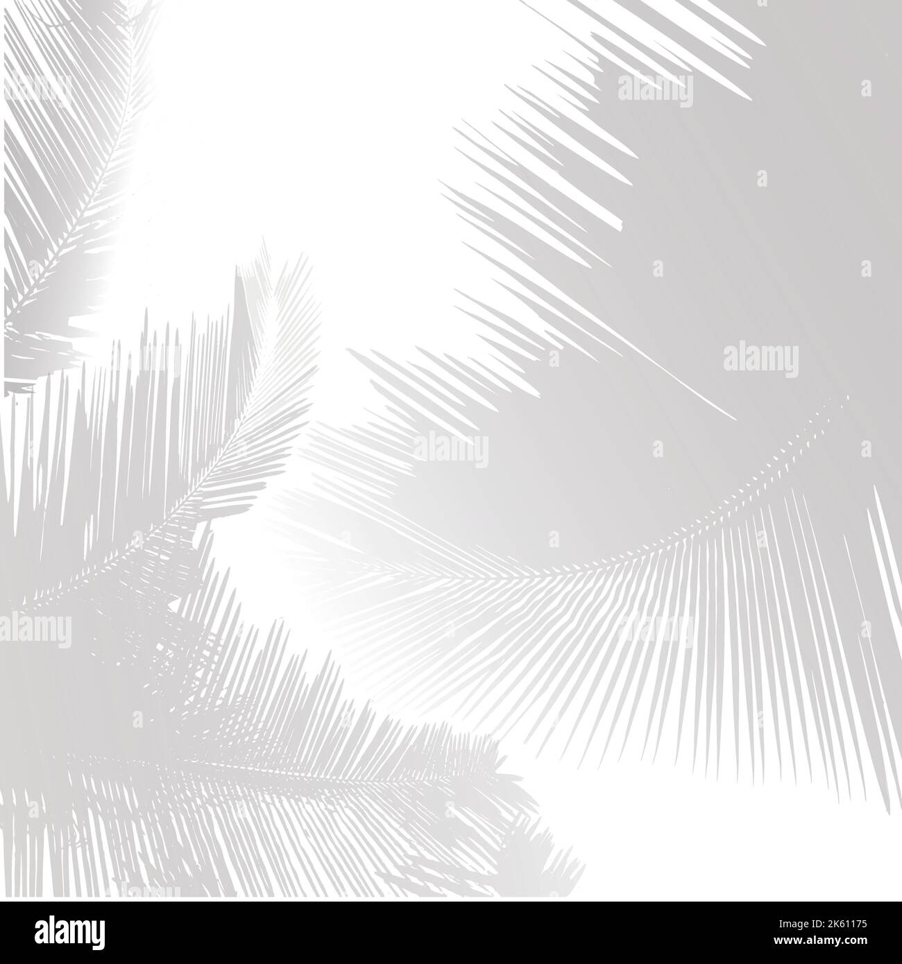 Overlay shadows. Transparent soft light, shadows, plant leaves and ...