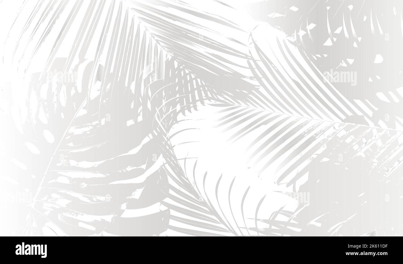 Overlay shadows. Transparent soft light, shadows, plant leaves and ...