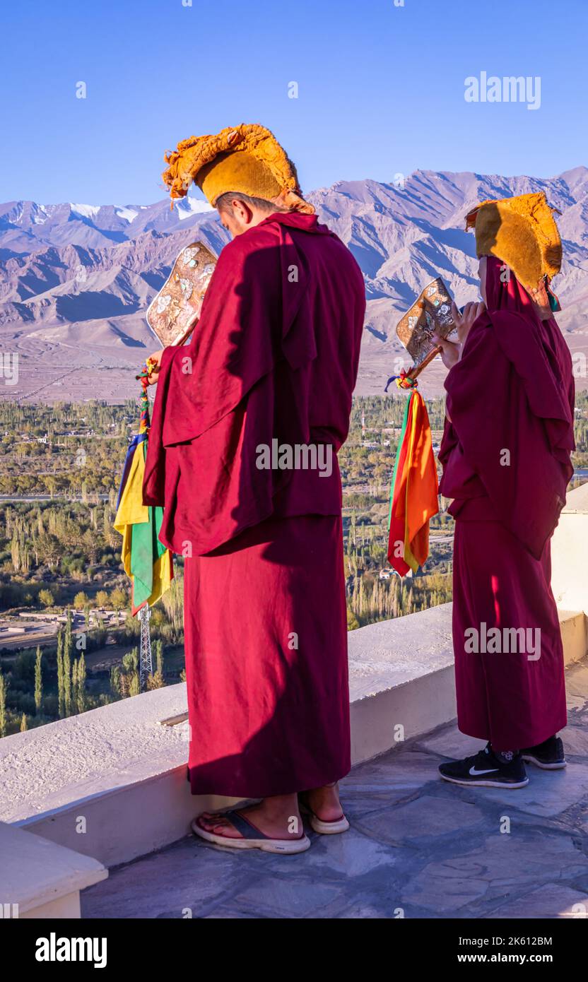 Conch shell india hi-res stock photography and images - Alamy
