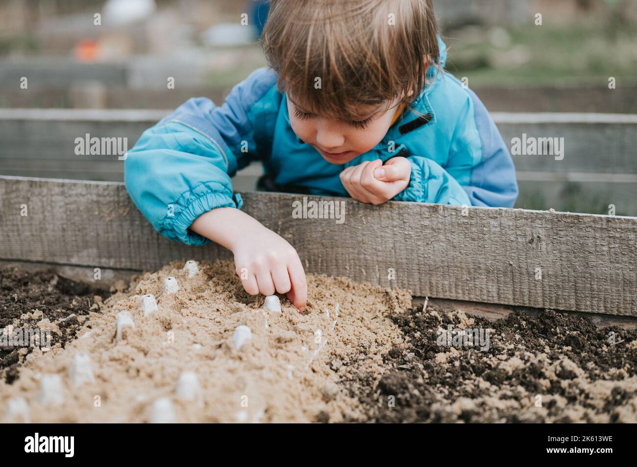 spring planting seeding in farm garden. little six year old kid boy ...
