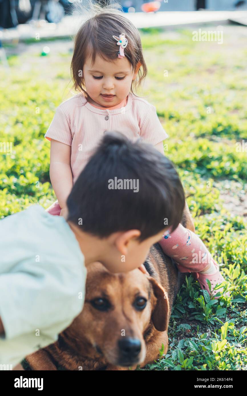 Cute kids caressing their dog while resting on ground in garden in ...