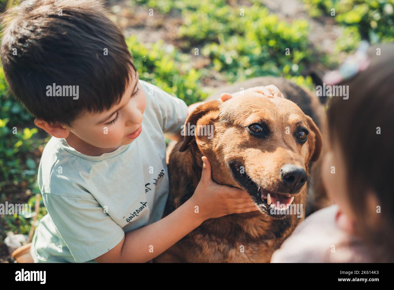 Two caucasian kids playing with their loyal dog, scratching dog's head ...