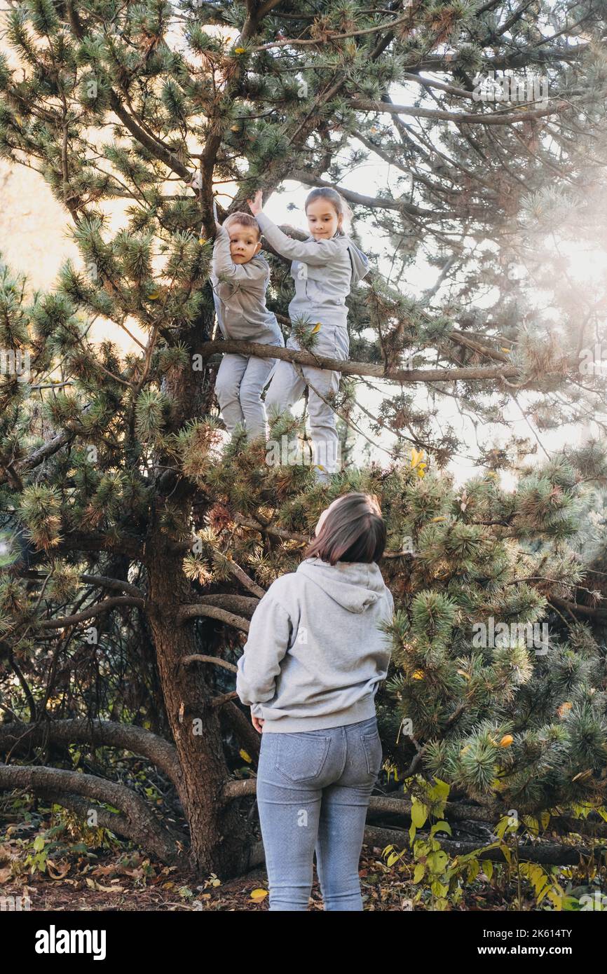Rear view of a worried mother for her children who climbed up the tree ...