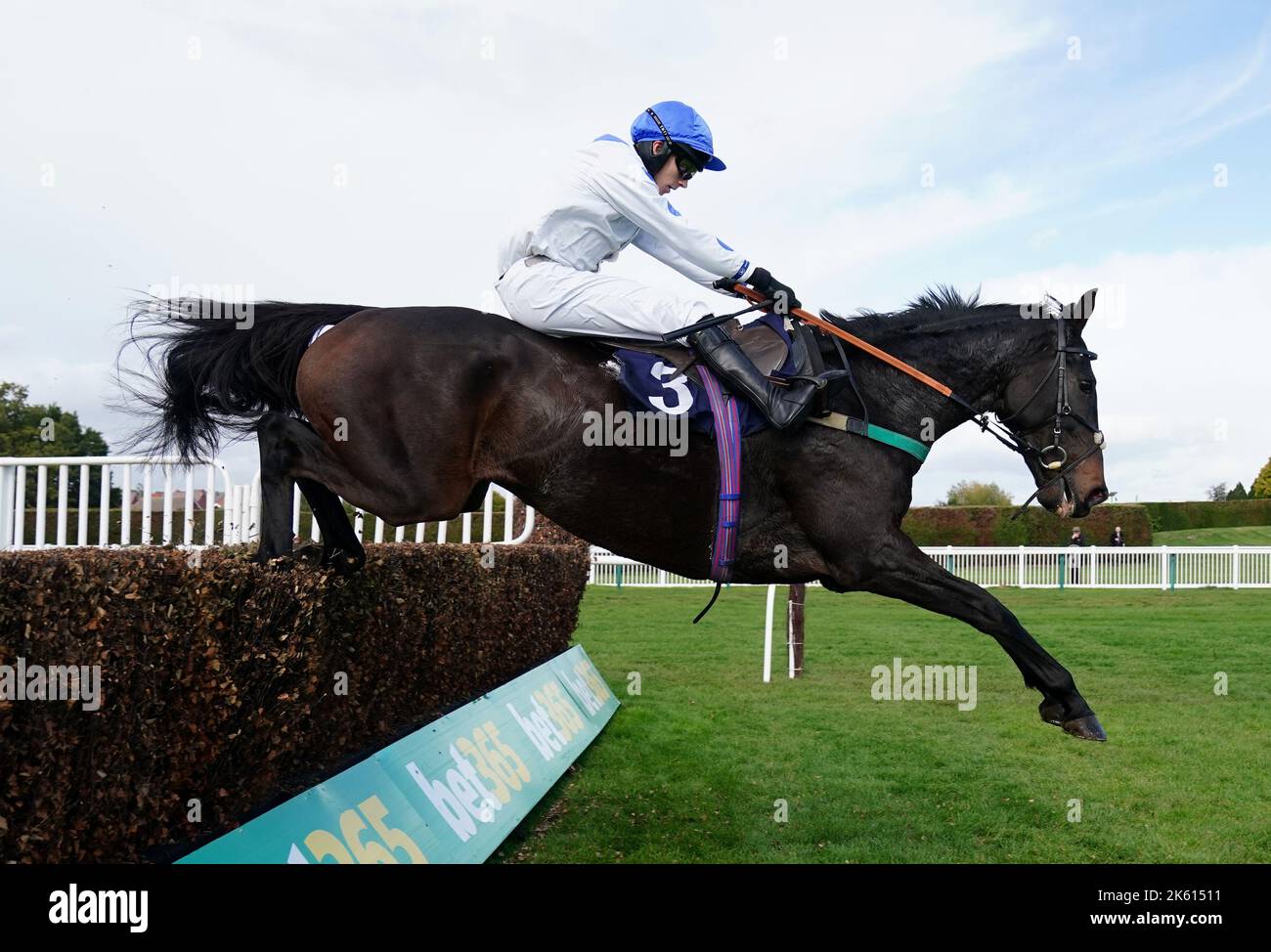 Big Difference and Harry Reed coming home to win the Tarmac and MS Shaw ...