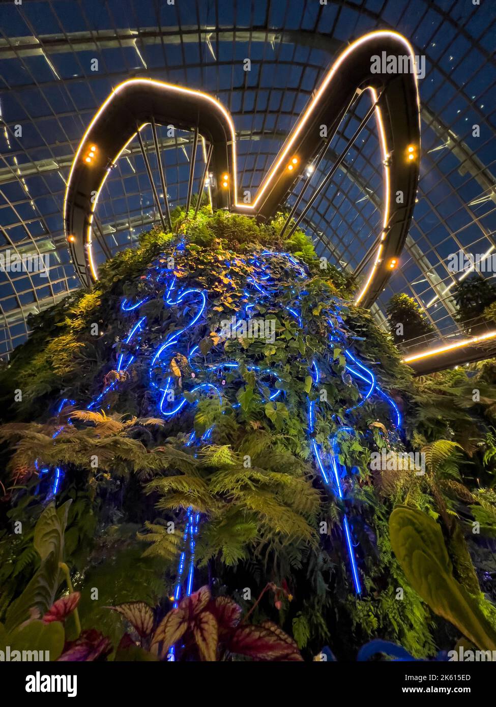 Magic hour lighting forest hi-res stock photography and images - Alamy