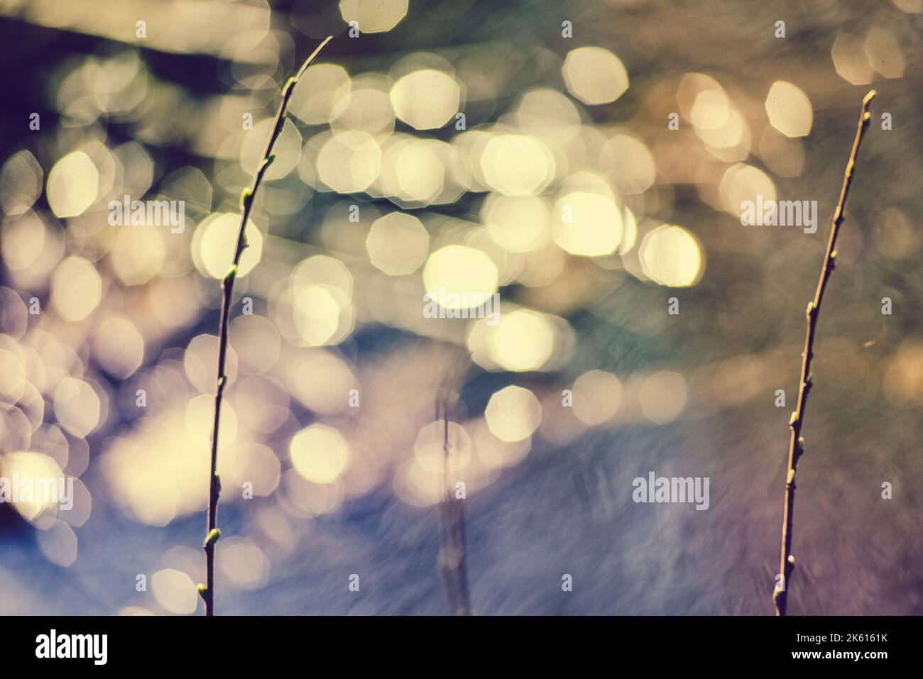 Background with natural rays of light reflection from water Stock Photo ...