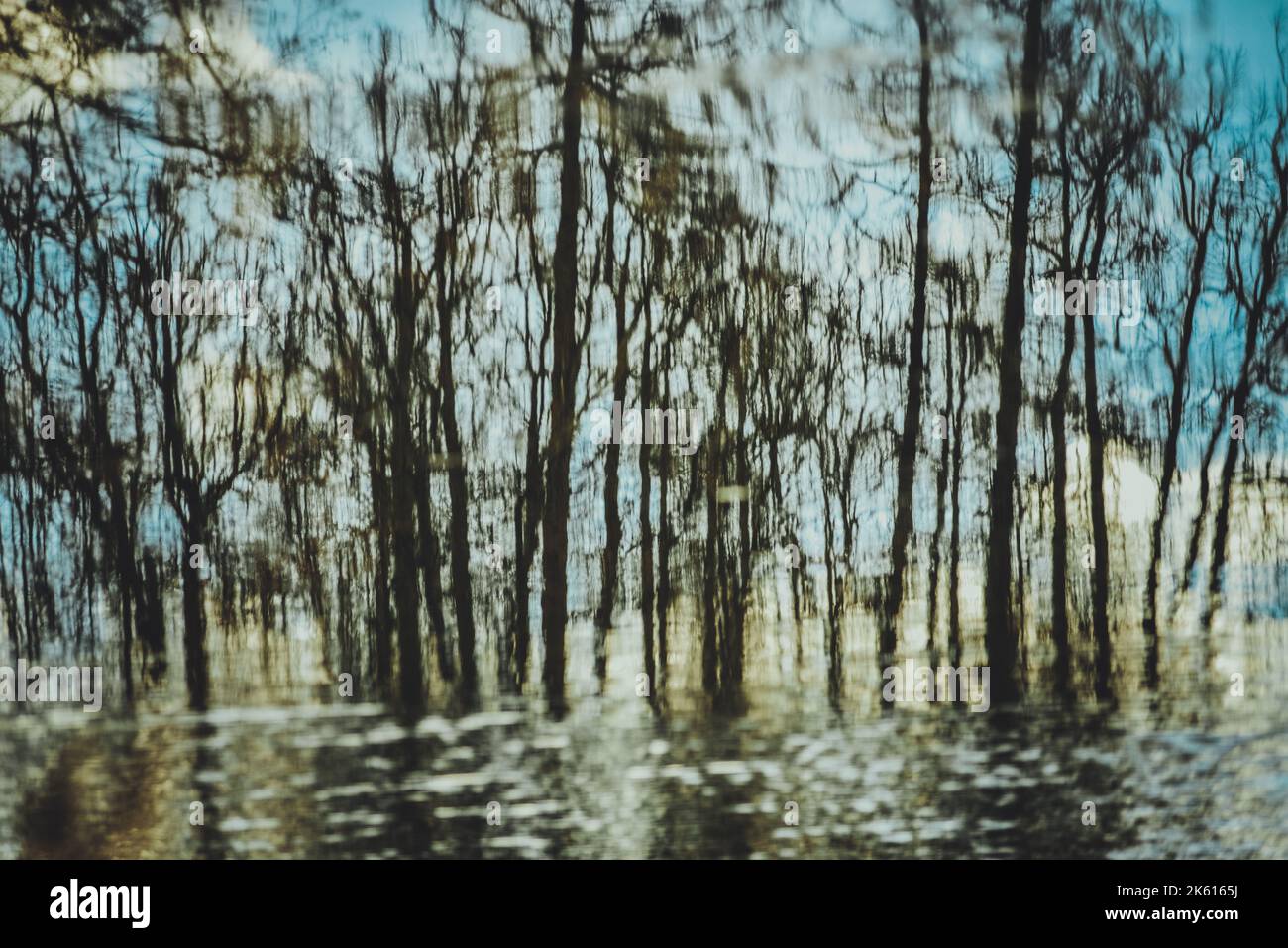 Reflection of trees on the surface of the water. Soft focus Stock Photo ...