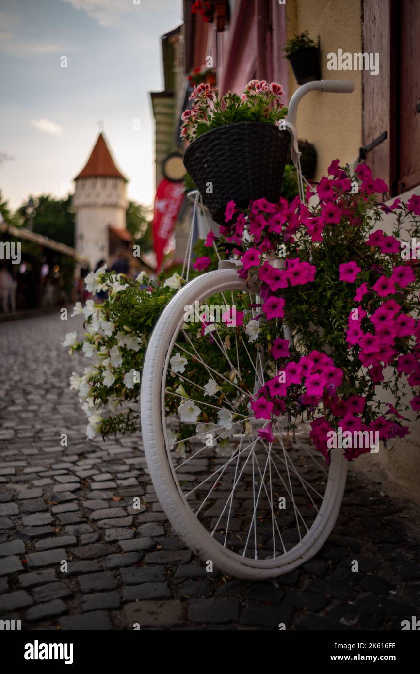 A beautiful shot of a white bike decorated with pink and white flowers ...