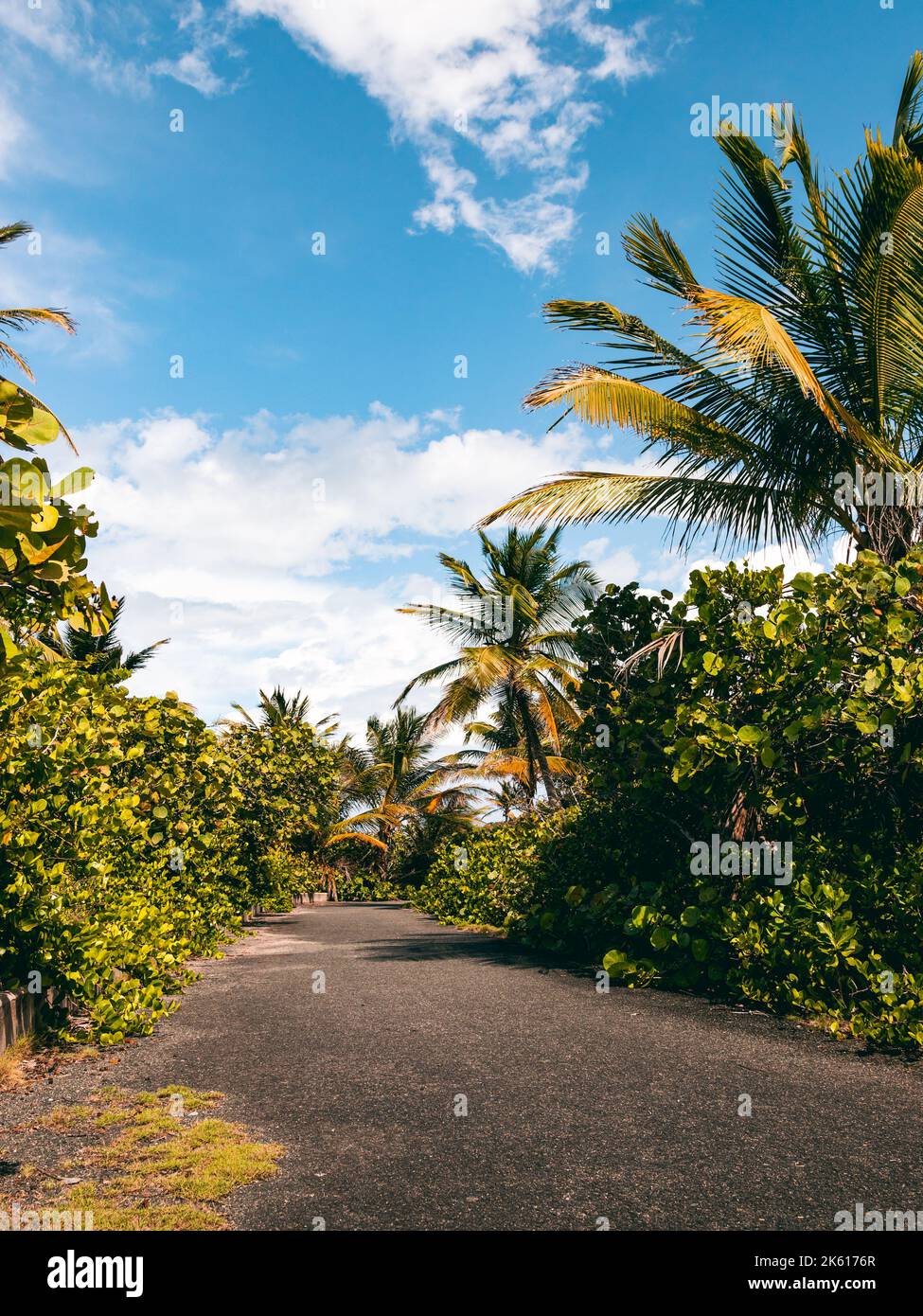 Peacefull tropical coast with nice views and trails from Puerto Rico ...