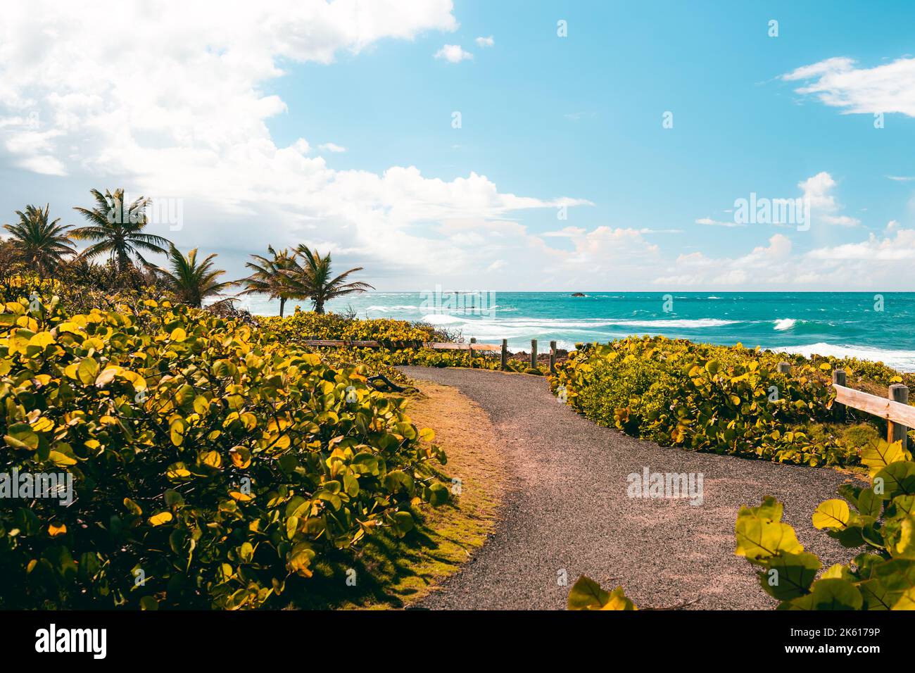 Peacefull tropical coast with nice views and trails from Puerto Rico ...