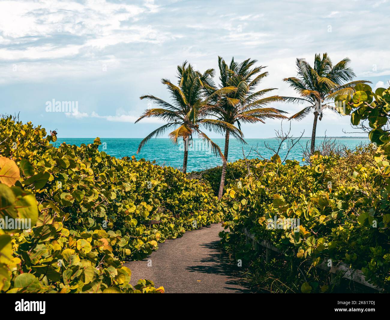 Peacefull tropical coast with nice views and trails from Puerto Rico ...
