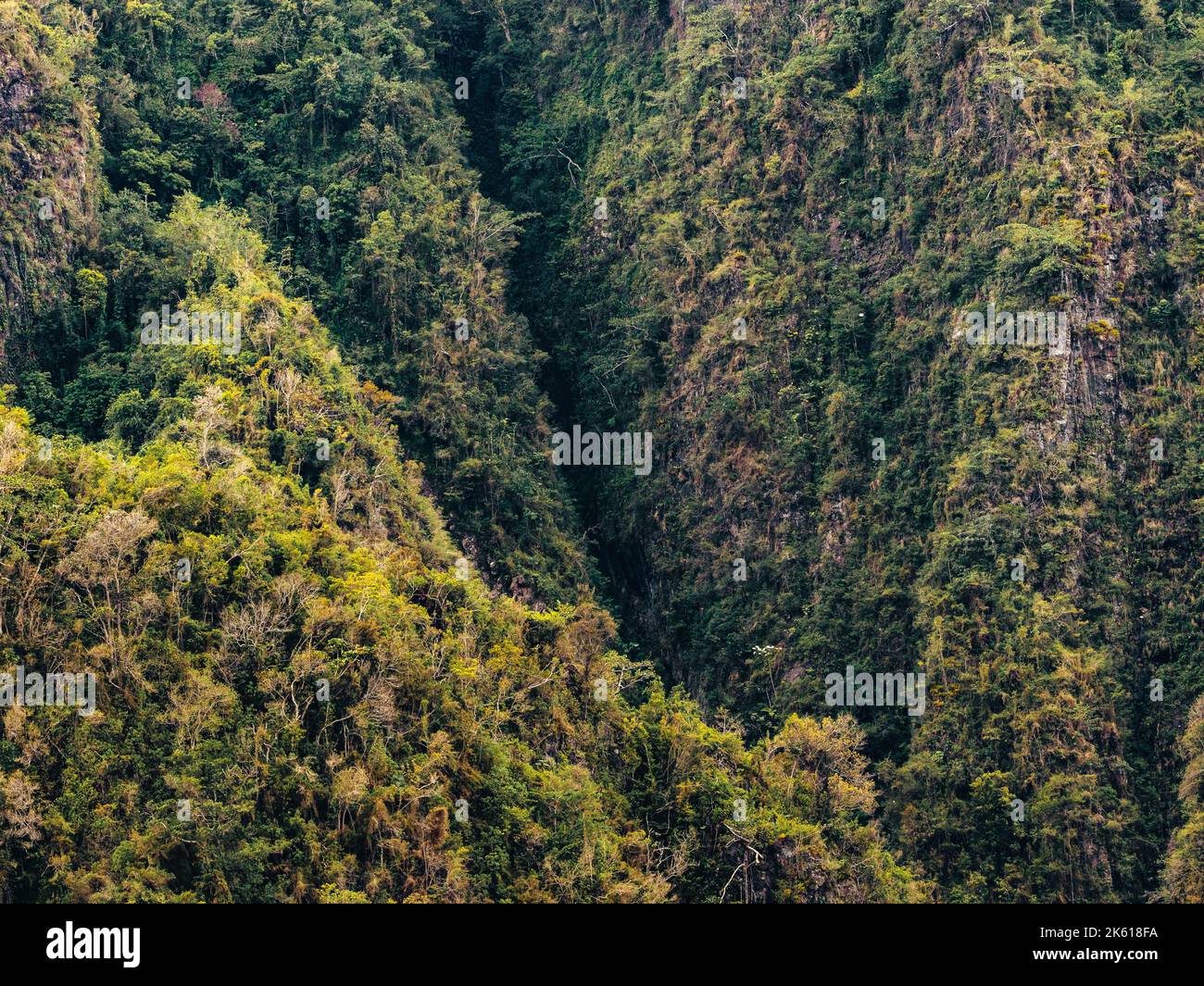 Puerto Rico cañon san cristobal views and mountain range full of greens ...
