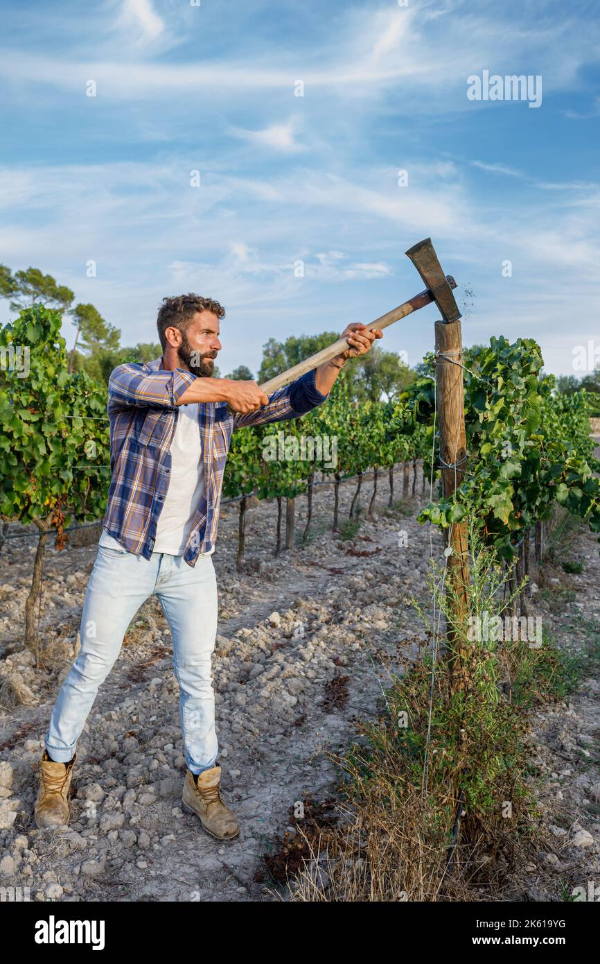 Using axe hi-res stock photography and images - Alamy