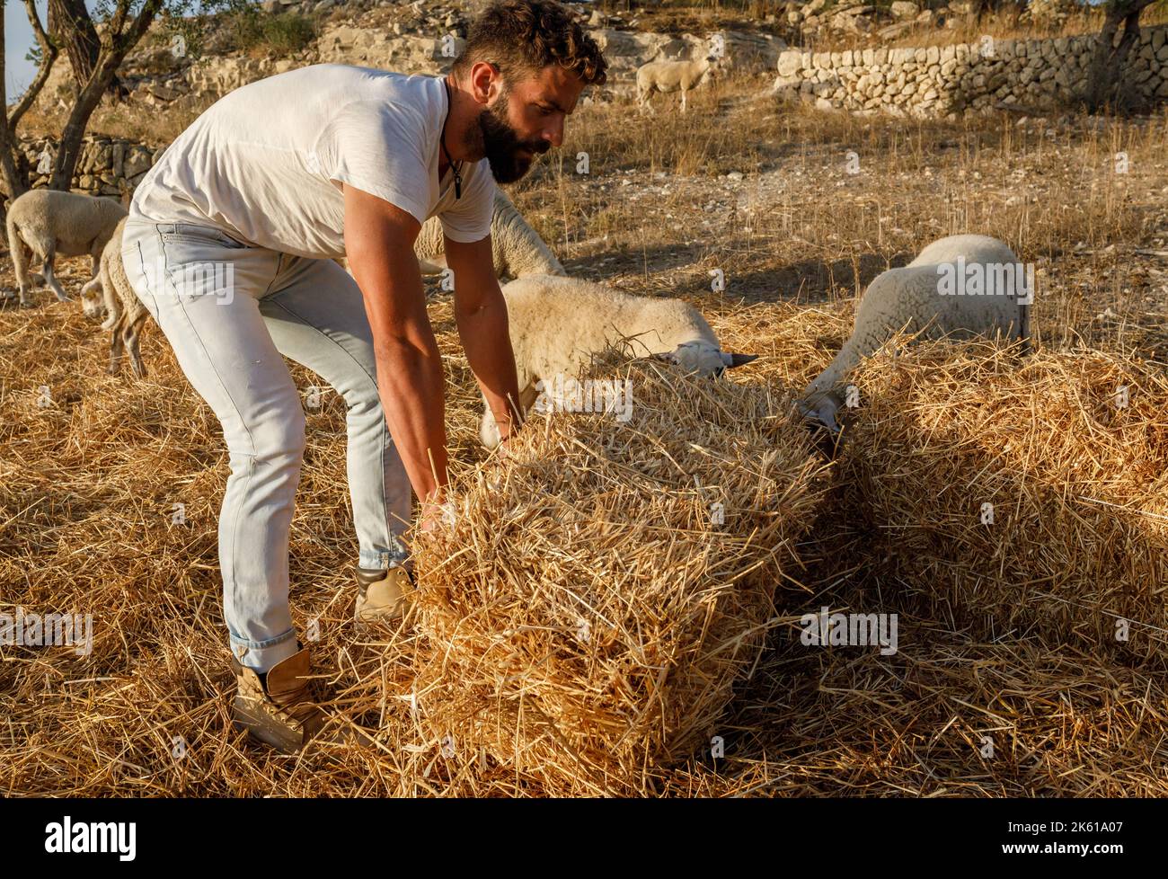 Full body of young bearded ethnic male farmer with dark hair in casual ...