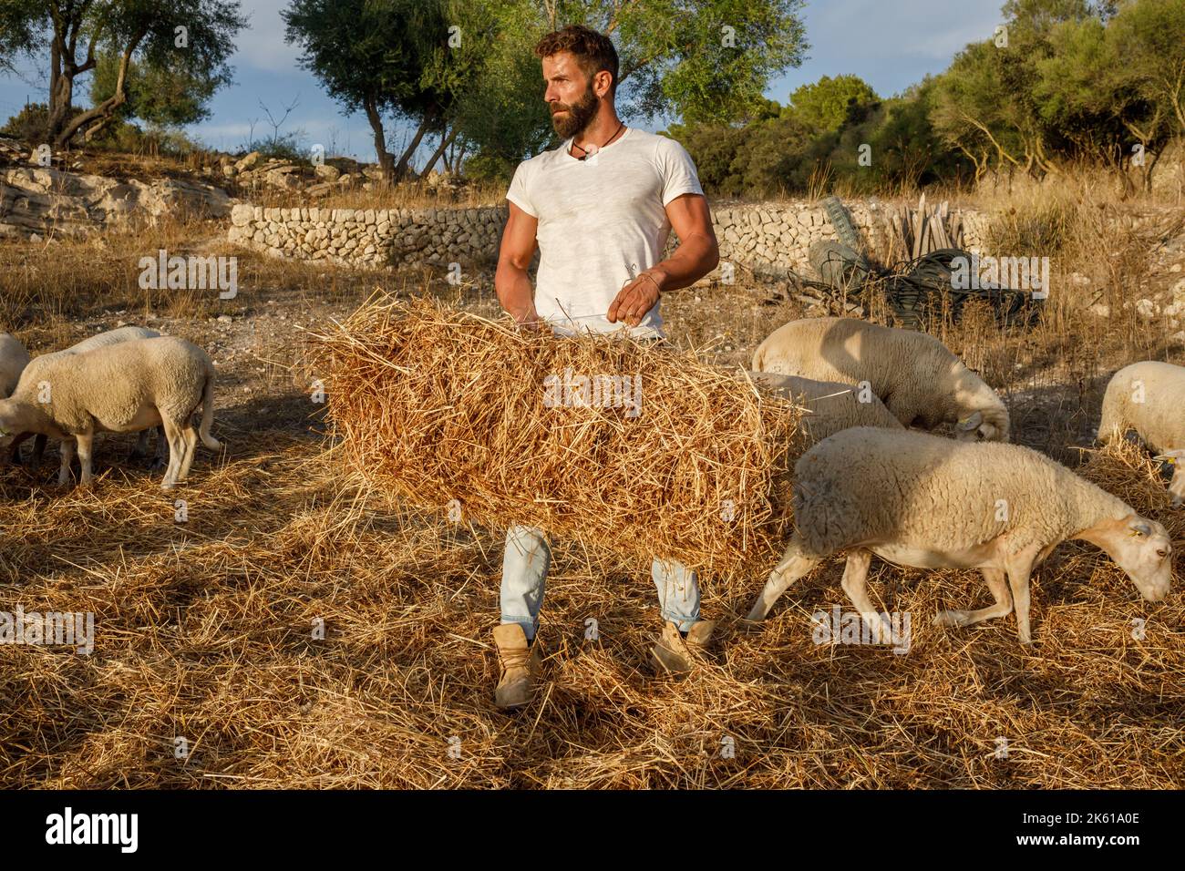 Full body of young bearded ethnic male farmer with dark hair in casual ...