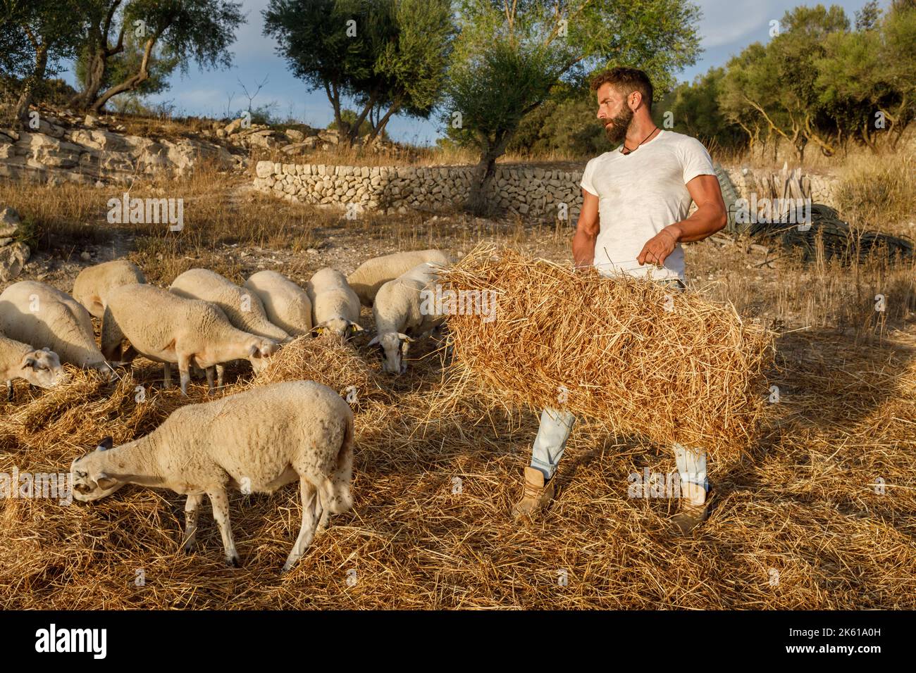 Full body of young bearded ethnic male farmer with dark hair in casual ...