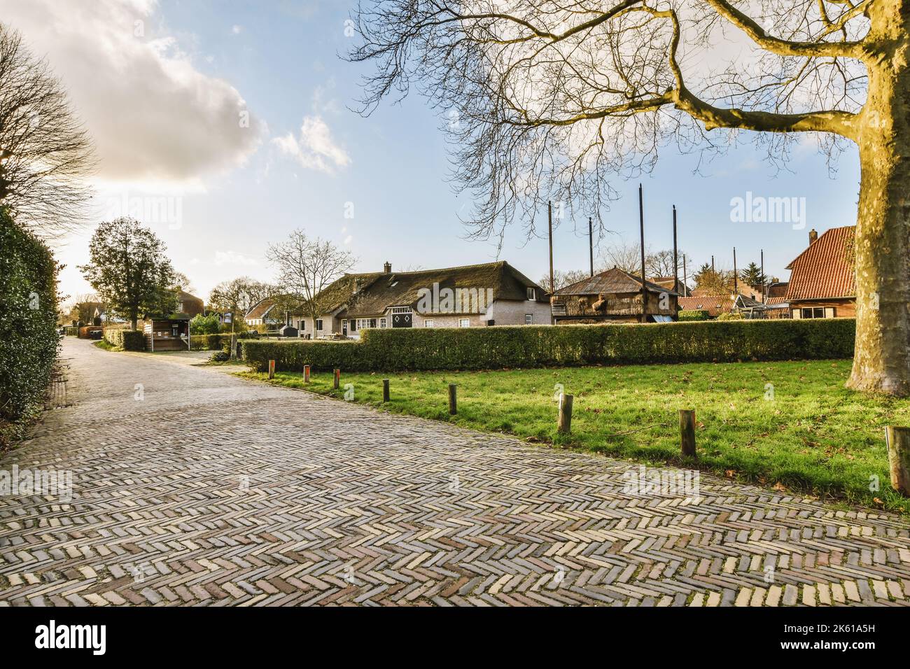 View of brick building with pavement beside bush with autumn leafs ...