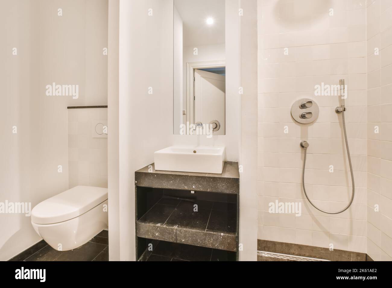 Toilet installed behind partition with sinks and mirror in light ...