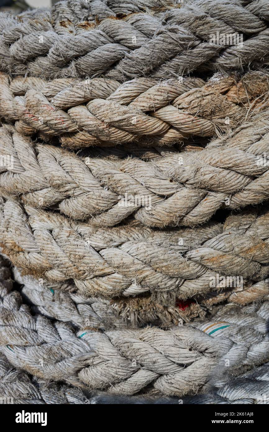 Thick weathered rope covered with dirt and rolled in coil in daytime in ...