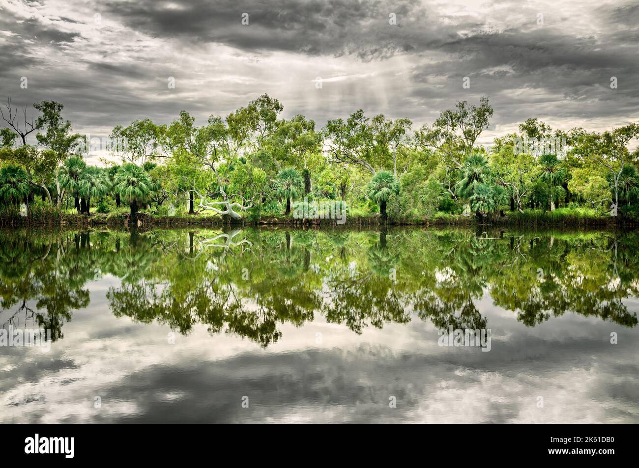 Green oasis at Deep Reach Pool in Millstream Chichester National Park ...
