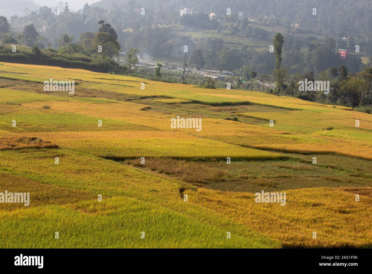 Nepalese people celebrates Shikali Festival Stock Photo - Alamy