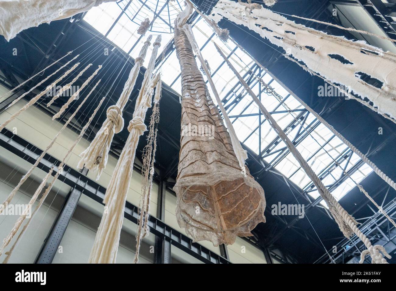 11 October 2022: Cecilia Vicuña, Brain Forest Quipu at Tate Modern ...