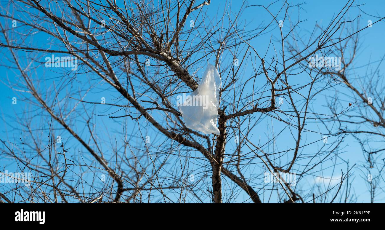 Plastic bag on a tree - nature pollution Stock Photo - Alamy